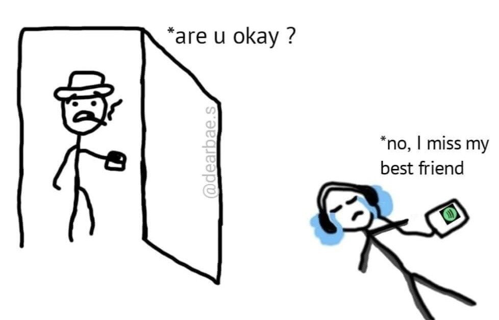 Are You Okay? No I Miss My Best Friend Sad Spotify Meme GagBase | AI ...
