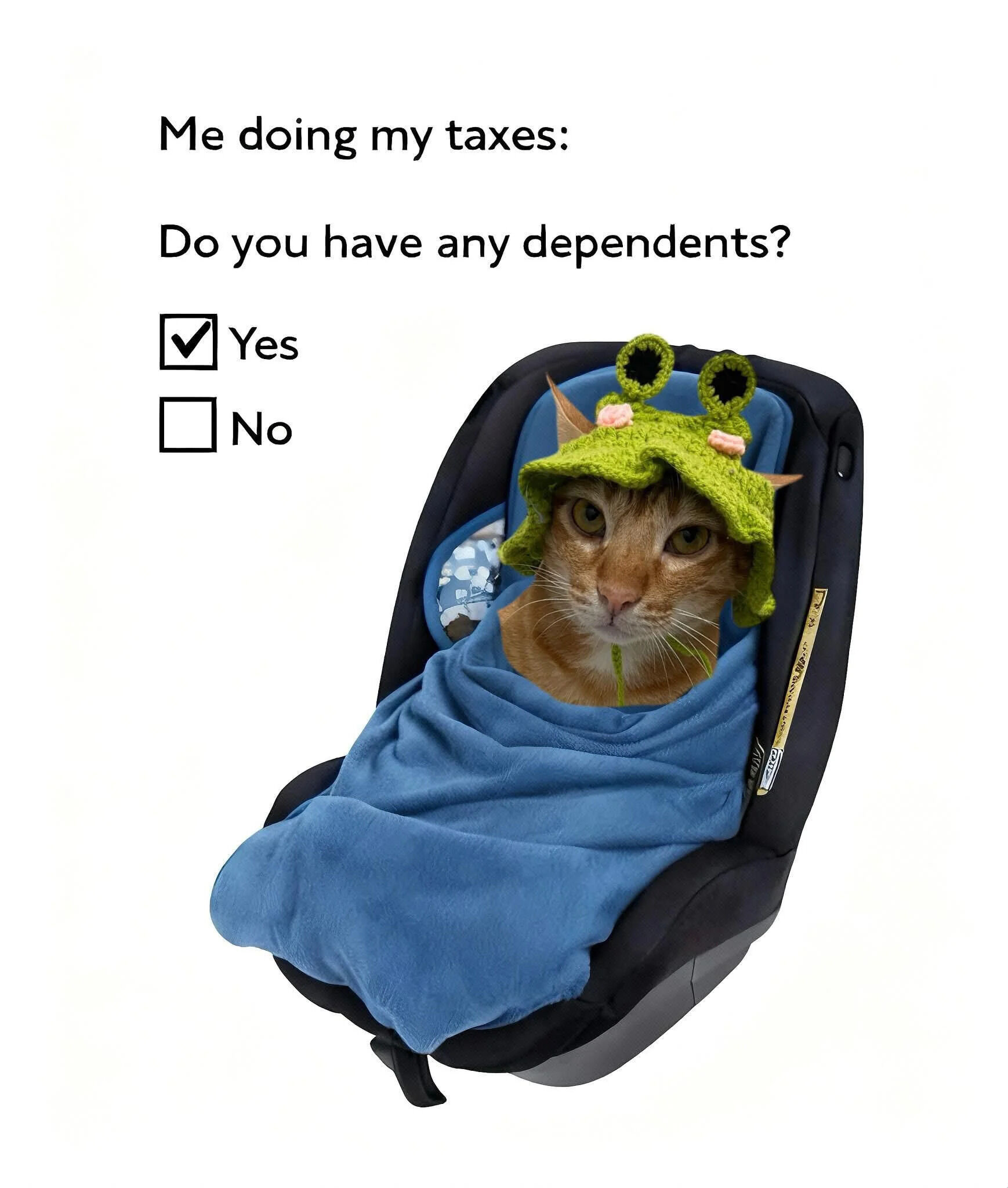 Cat as Tax Dependent Wholesome Meme GagBase | AI-powered meme search ...