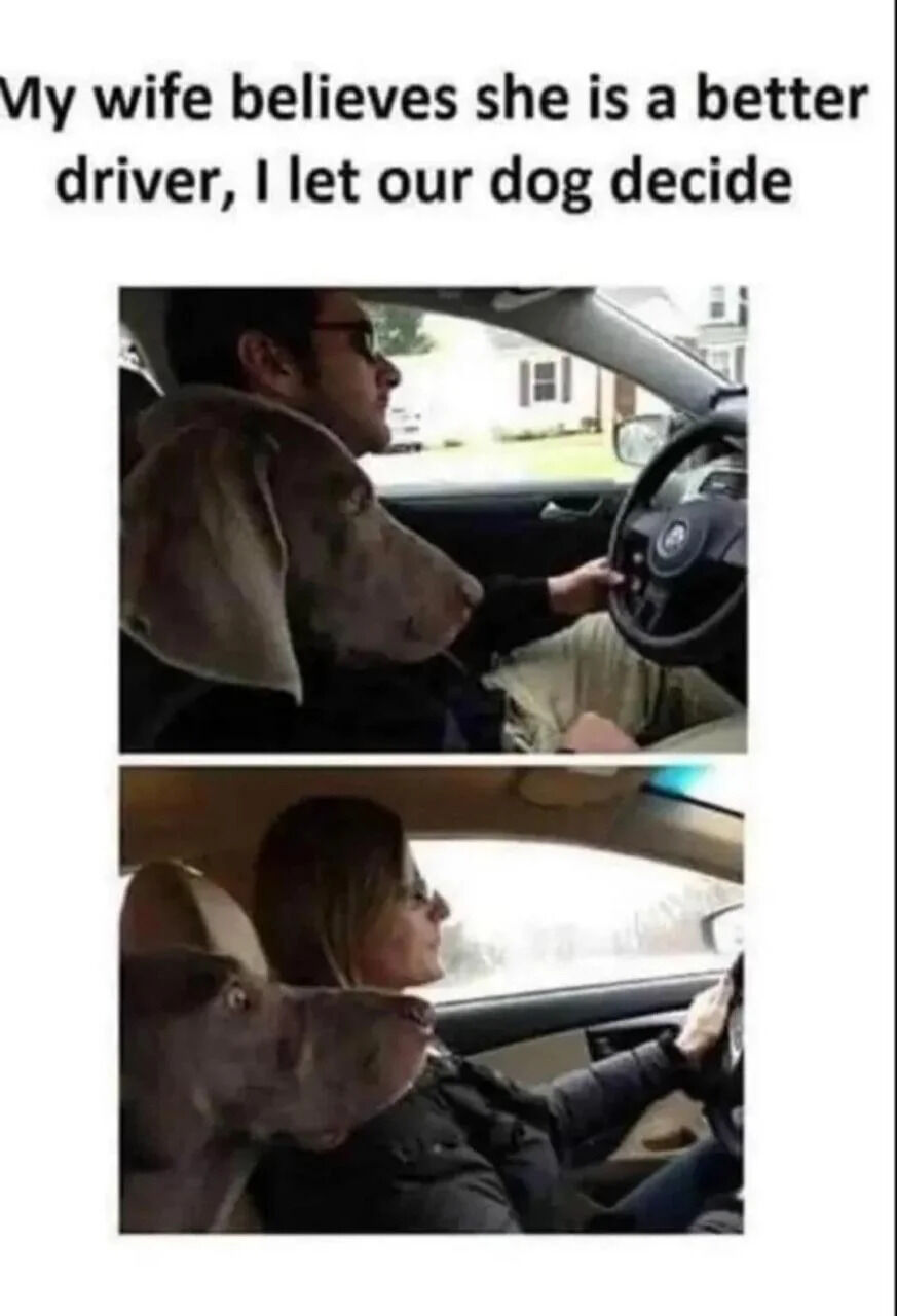 My wife believes she is a better driver, I let our dog decide GagBase ...