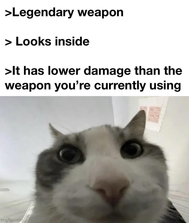 Legendary Weapon Letdown Shocked Cat Meme GagBase | AI-powered meme ...