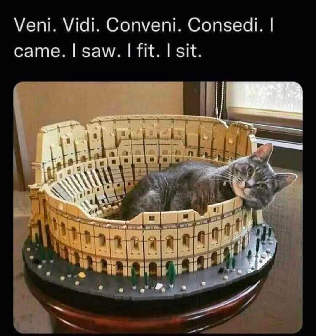 Cat in Colosseum: I Came, I Saw, I Fit, I Sit GagBase | AI-powered meme ...