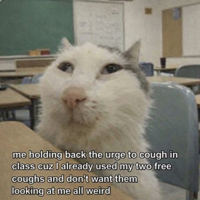 Cat Holding Back Cough in Class After Using Free Coughs GagBase | AI ...
